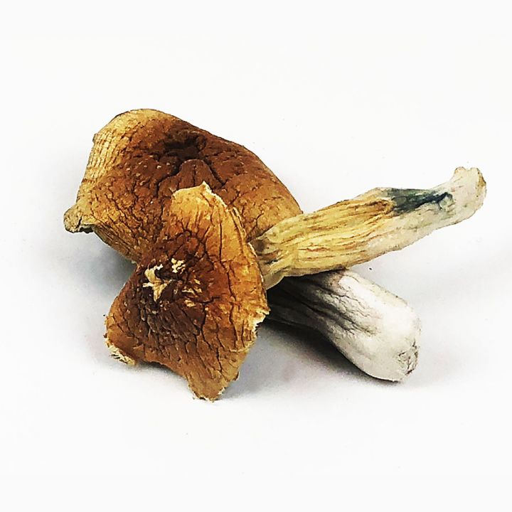 Koh Samui Magic Mushrooms - FairCannaCare